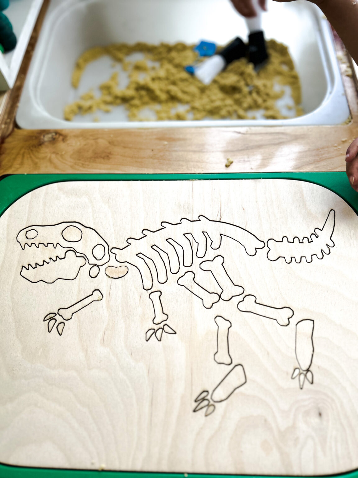Dinosaur Skeleton Insert For Big Ikea Trofast Bin – Endowtoys